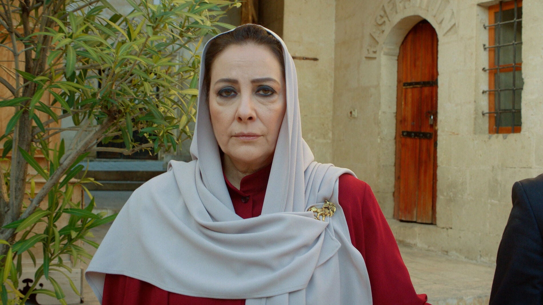 VÍDEO - HERCAI: Azize quiere culminar la humillación de los Sadoglu