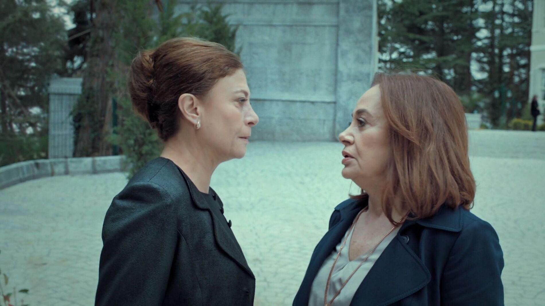 Las hermanas Reyhan y Kiymet se ven las caras tras muchos años y esconden un secreto que puede ...