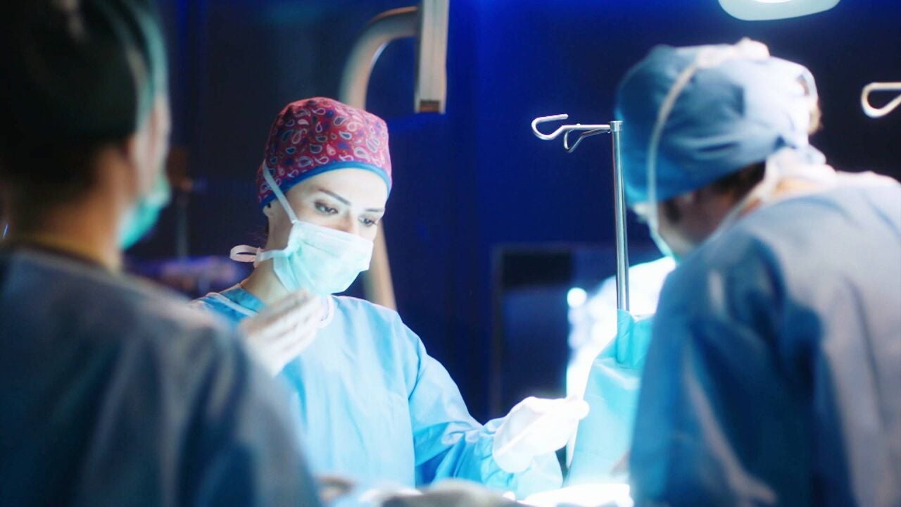 Alí y Nazli hacen realidad su sueño gracias a Ferman